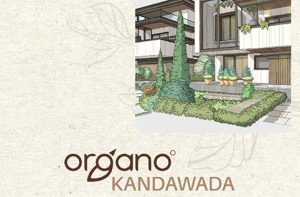 Organo | VGC